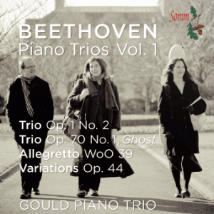 The Gould Piano Trio - ..trio playing at it's best.